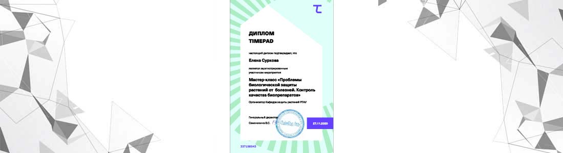 ДИПЛОМ TIMEPAD